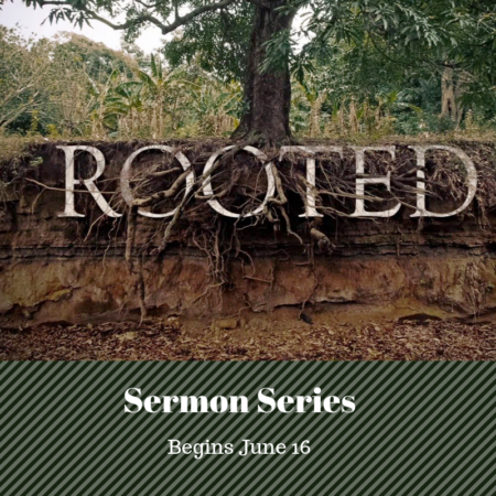 Rooted Sermon Series - Buda United Methodist Church
