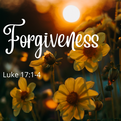 Welcome - Buda United Methodist Church